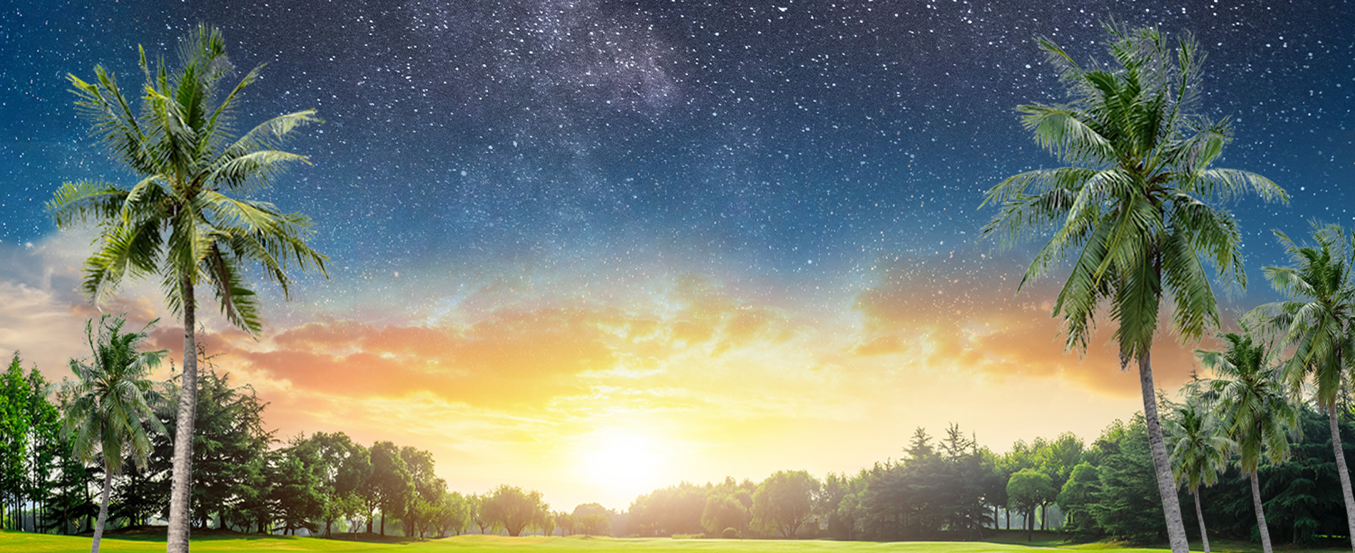 Festival Under the Stars - Opera Naples